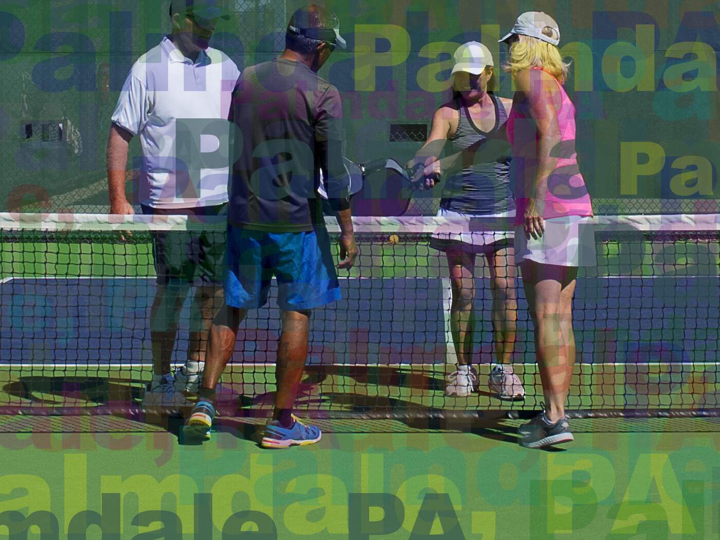Palmdale Pickleball: Courts & Lessons Near You